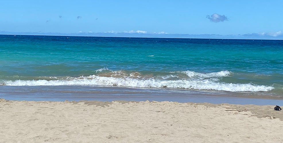 Self Care – Just Peachy Life LLC